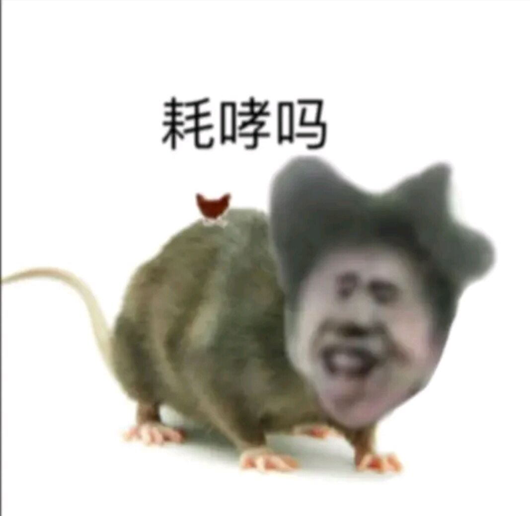 ikun 免费表情包 - 记灵工具